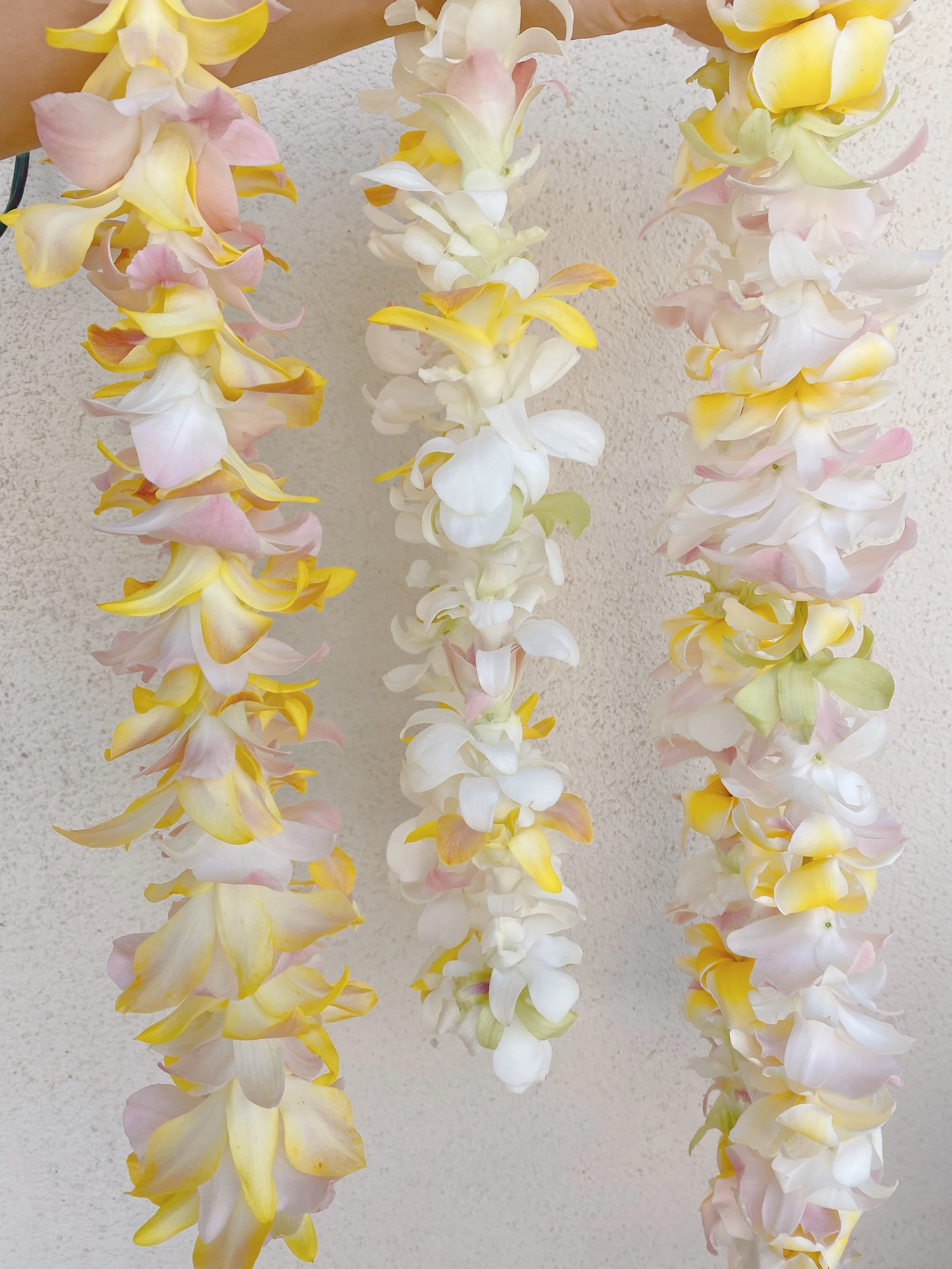 Kui Lei — Hakus & Love