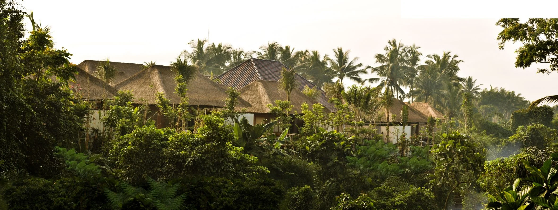 Bali Creatives Retreat 2025 — Kelly Sheets