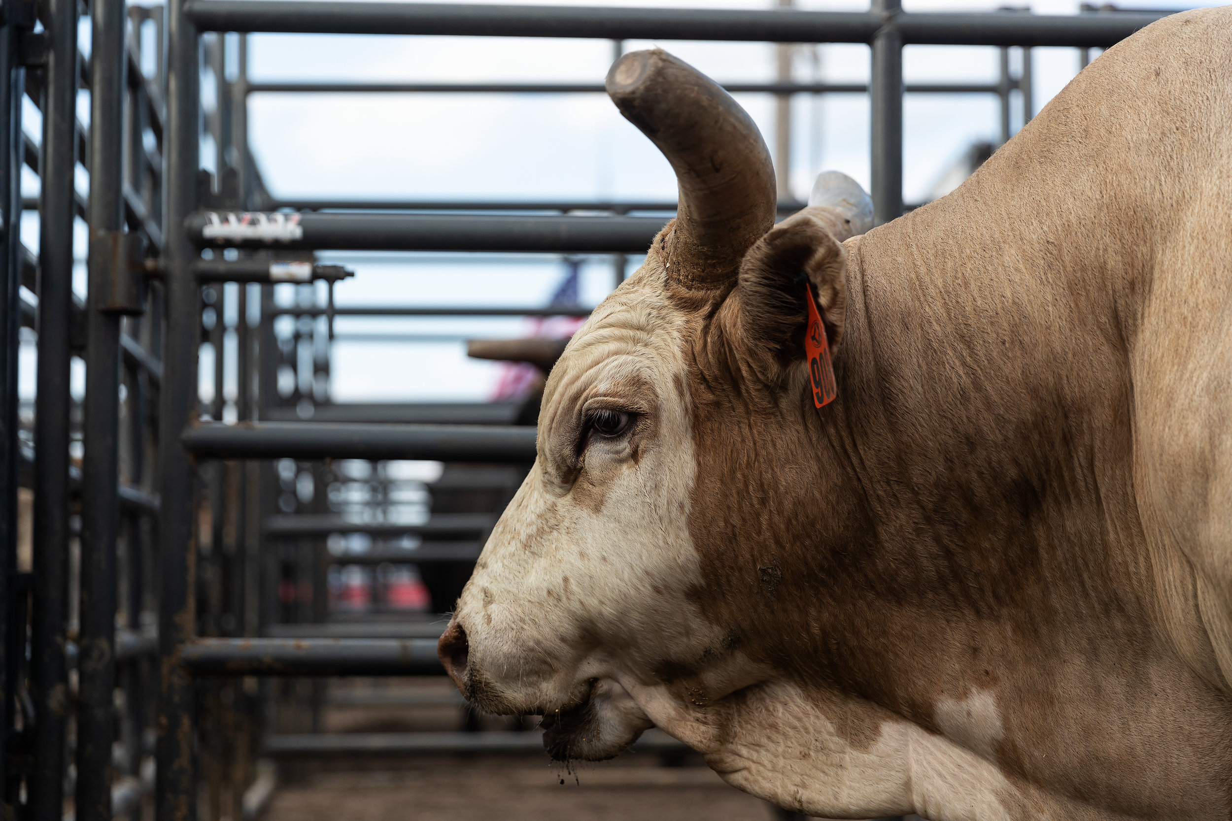 $50,000 Cash Money Up for Grabs for the top hands headed to Huron ...