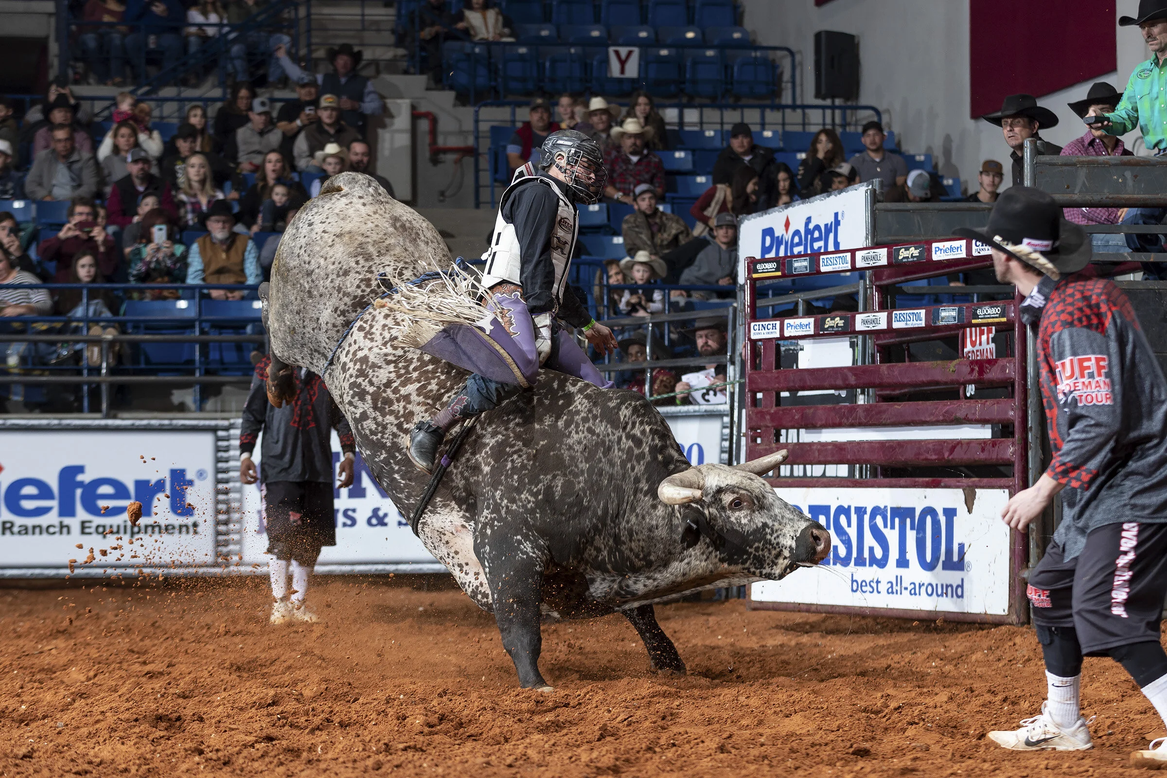 Hobbs Bull Profile - 370 Tequila Worm — Tuff Hedeman Bull Riding