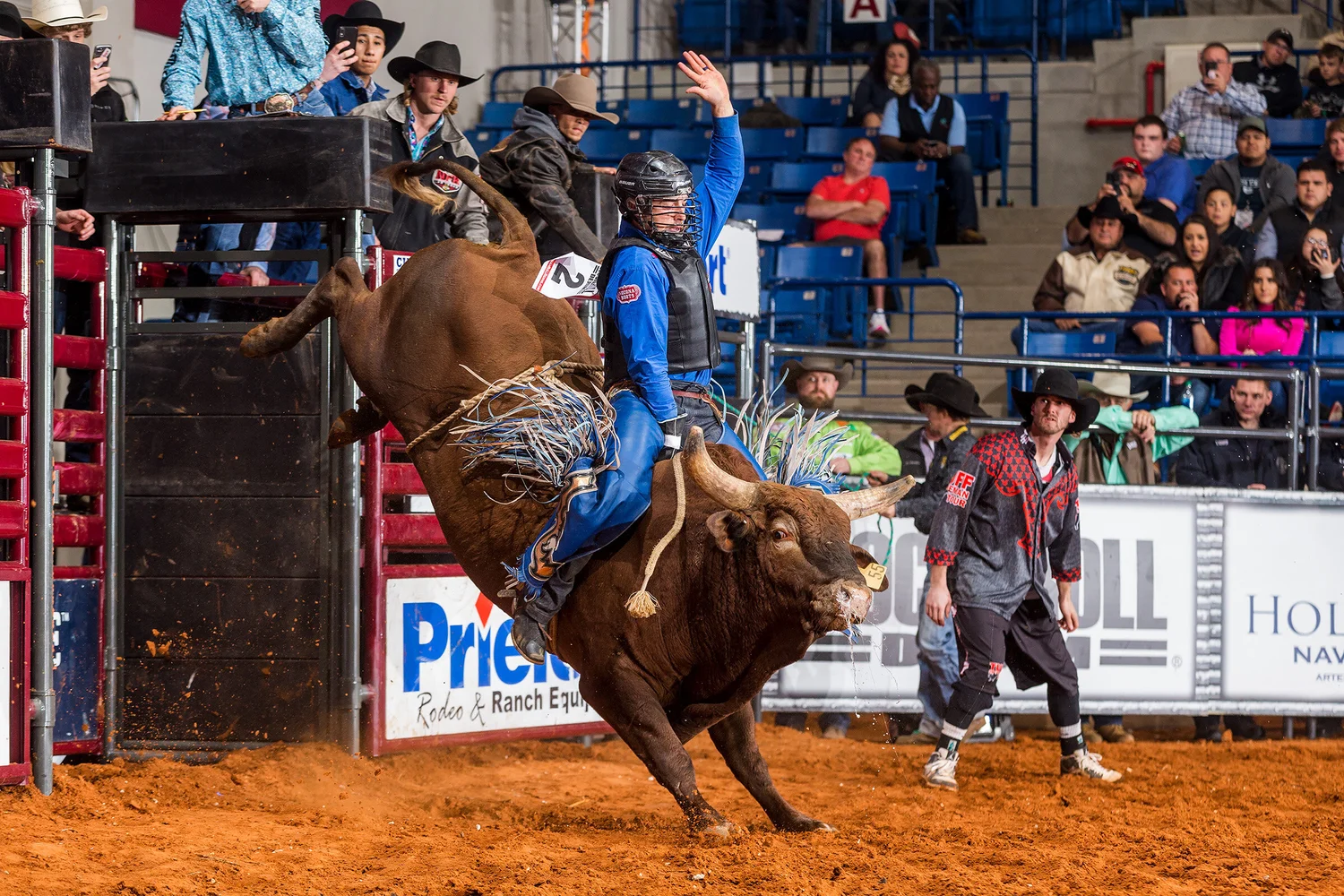 Las Vegas Bull Profile — Tuff Hedeman Bull Riding