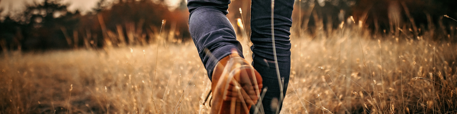 Holos — Holos Integrative Health Ketamine assisted therapy