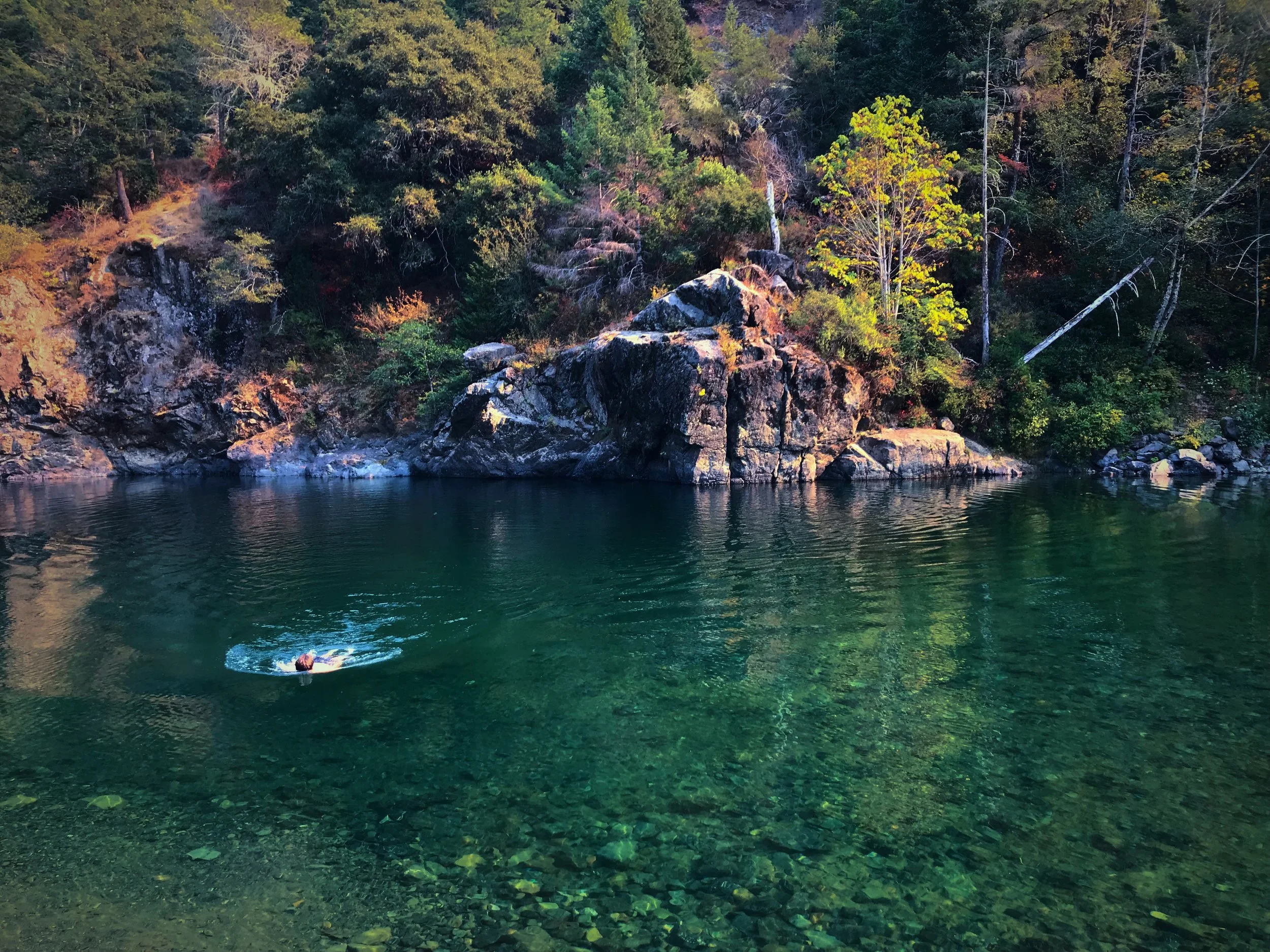 Wandering through the World’s Tallest Trees: Exploring the Redwood ...