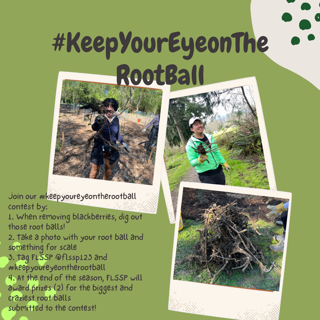 Blackberry at Lake Sammamish State Park: Show Us Your “Heart” — Friends ...