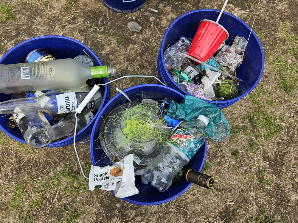 Restoration and Maintenance — Friends of Lake Sammamish State Park ...
