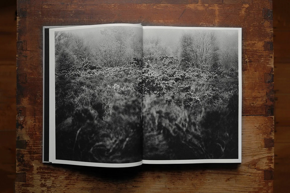 Kim Thue: Lode — Skeleton Key Press