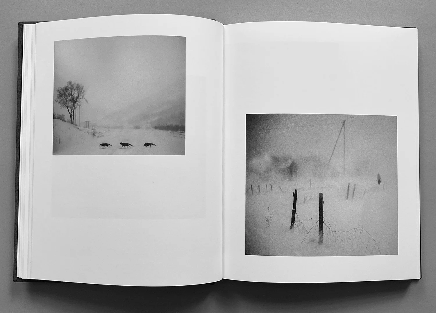 Kjetil Karlsen: Watching the Silence — Skeleton Key Press