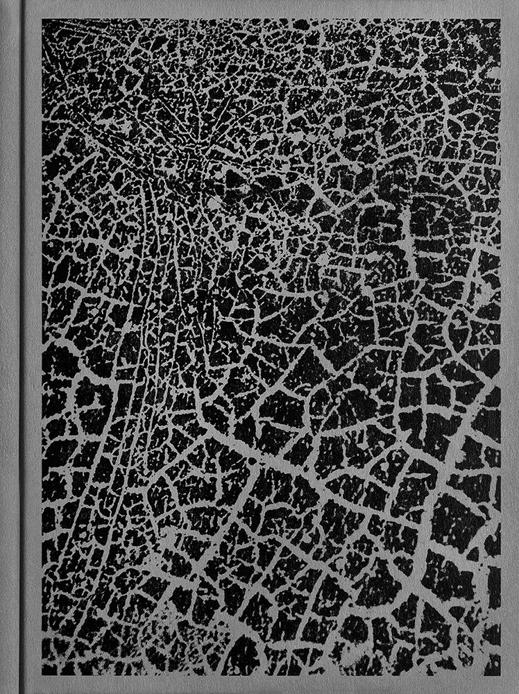 Kim Thue: Lode — Skeleton Key Press