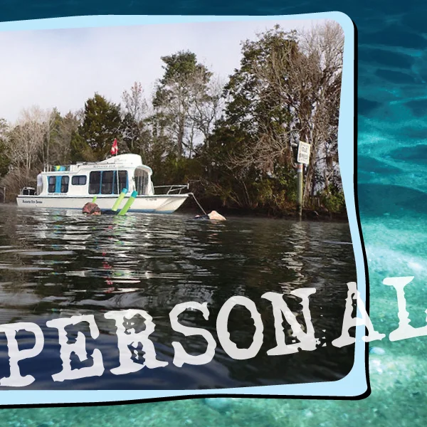 Manatee Fun: Private & Premium Houseboat Manatee Tour in Crystal River, FL