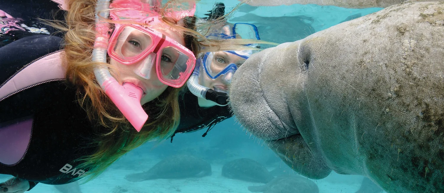 Semi-Private Tours — Private & Premium Houseboat Manatee Tour in ...