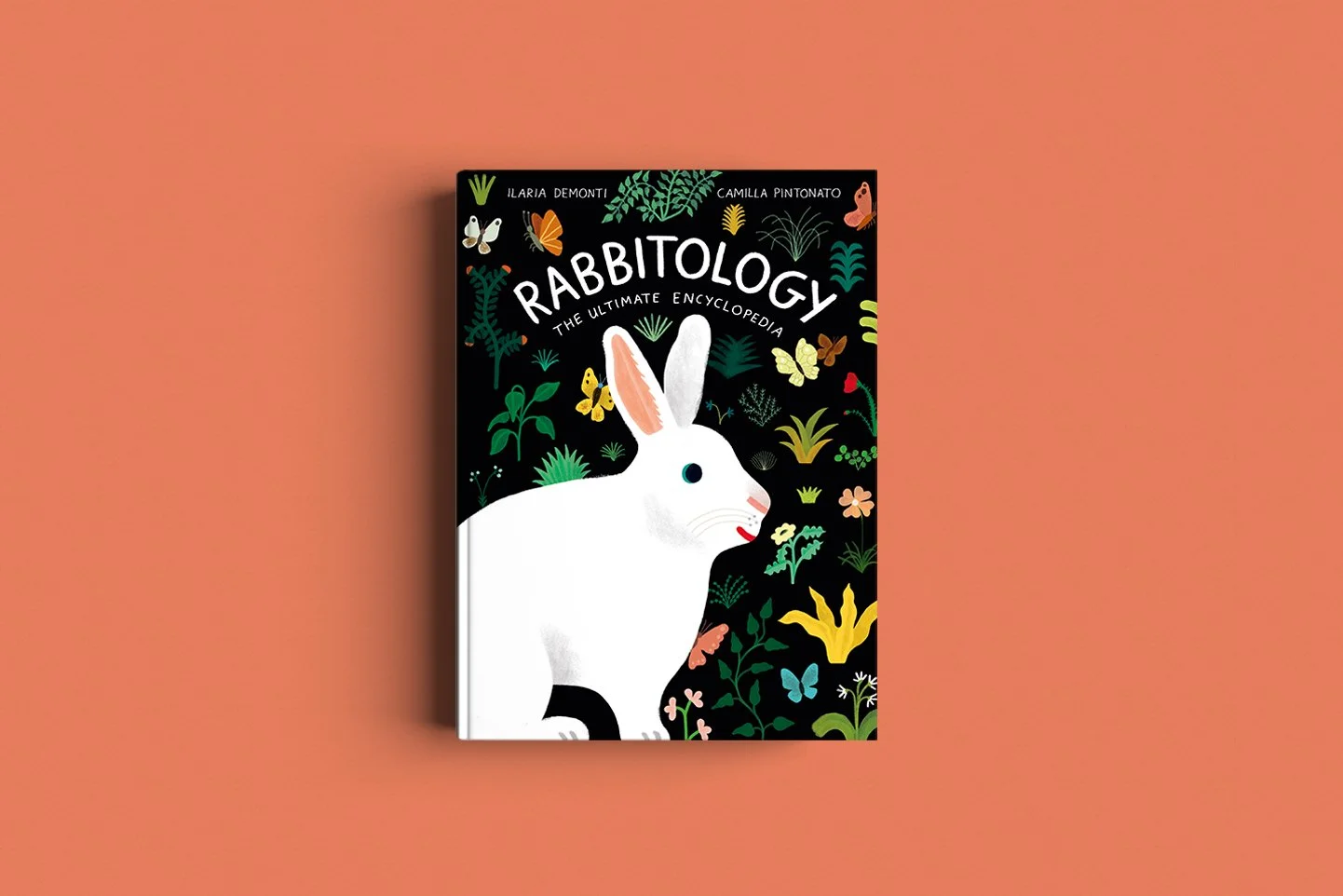 Rabbitology — Debbie Bibo Agency