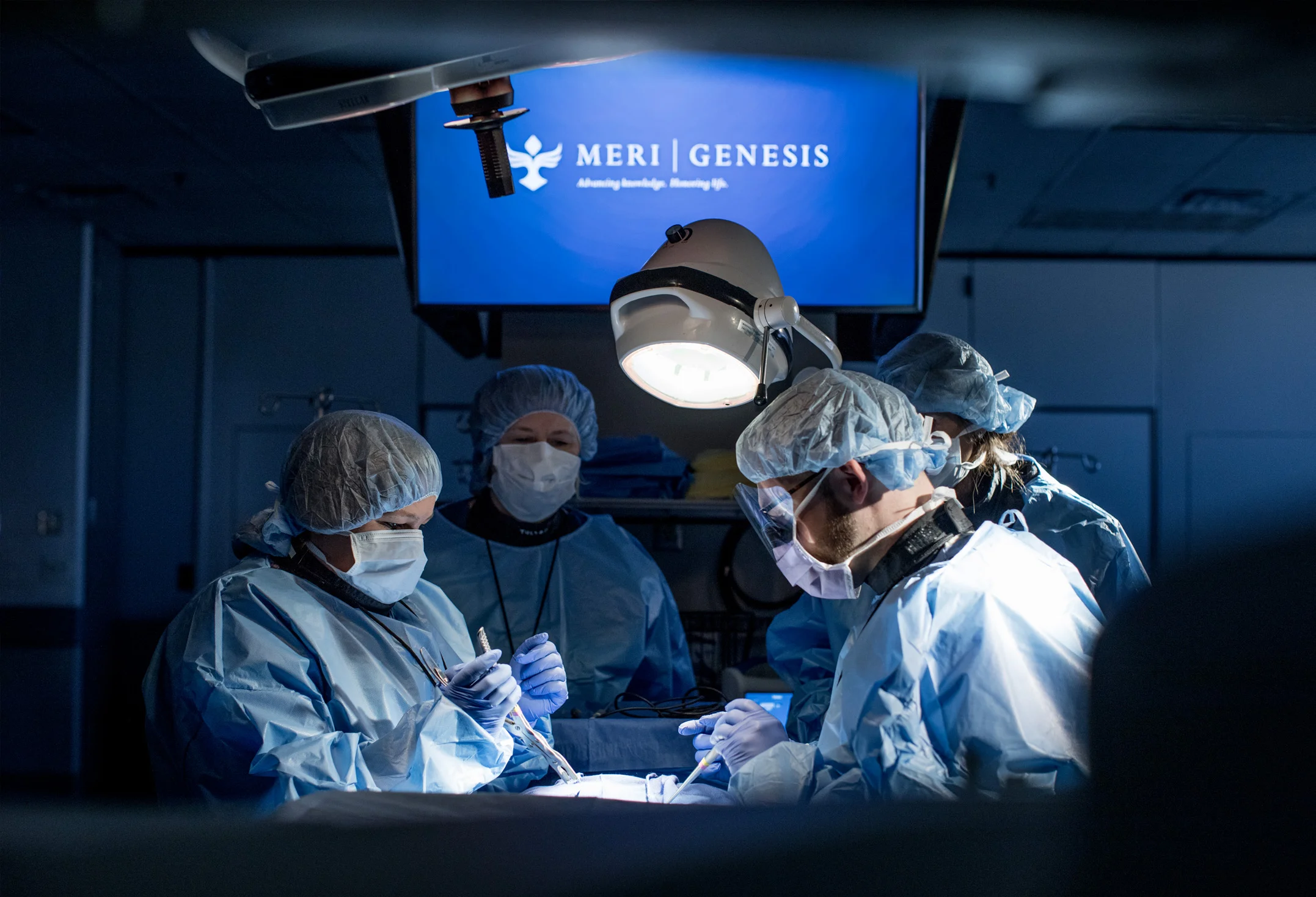 Organization Sponsors — MERI