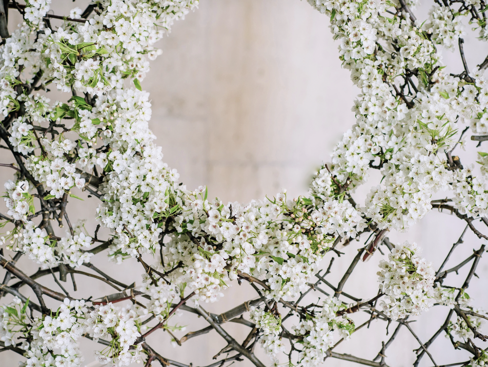 Joseph Massie - Botanical Artist - Five Time RHS Chelsea Flower Show ...