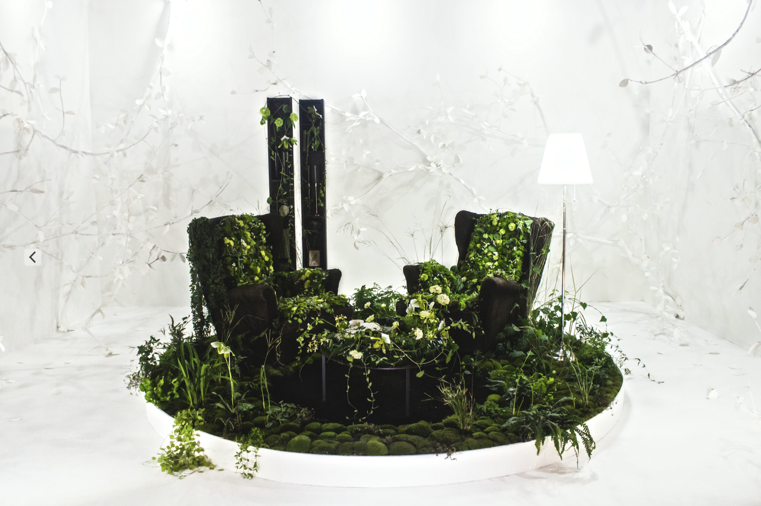Joseph Massie - Botanical Artist - Five Time RHS Chelsea Flower Show ...