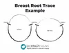 How to Take a Breast Root Trace — LilypaDesigns