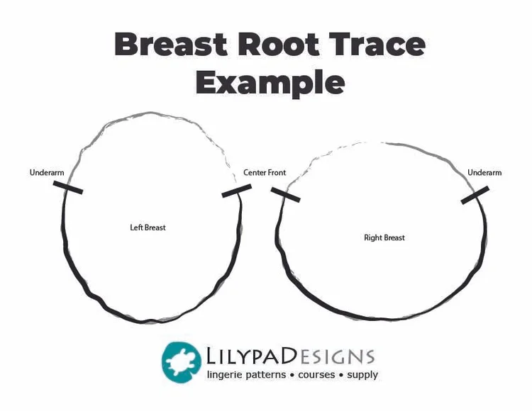 How to Take a Breast Root Trace — LilypaDesigns