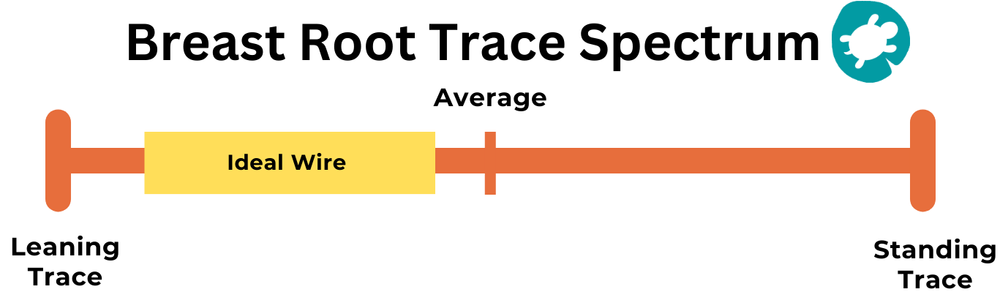 How to Take a Breast Root Trace — LilypaDesigns