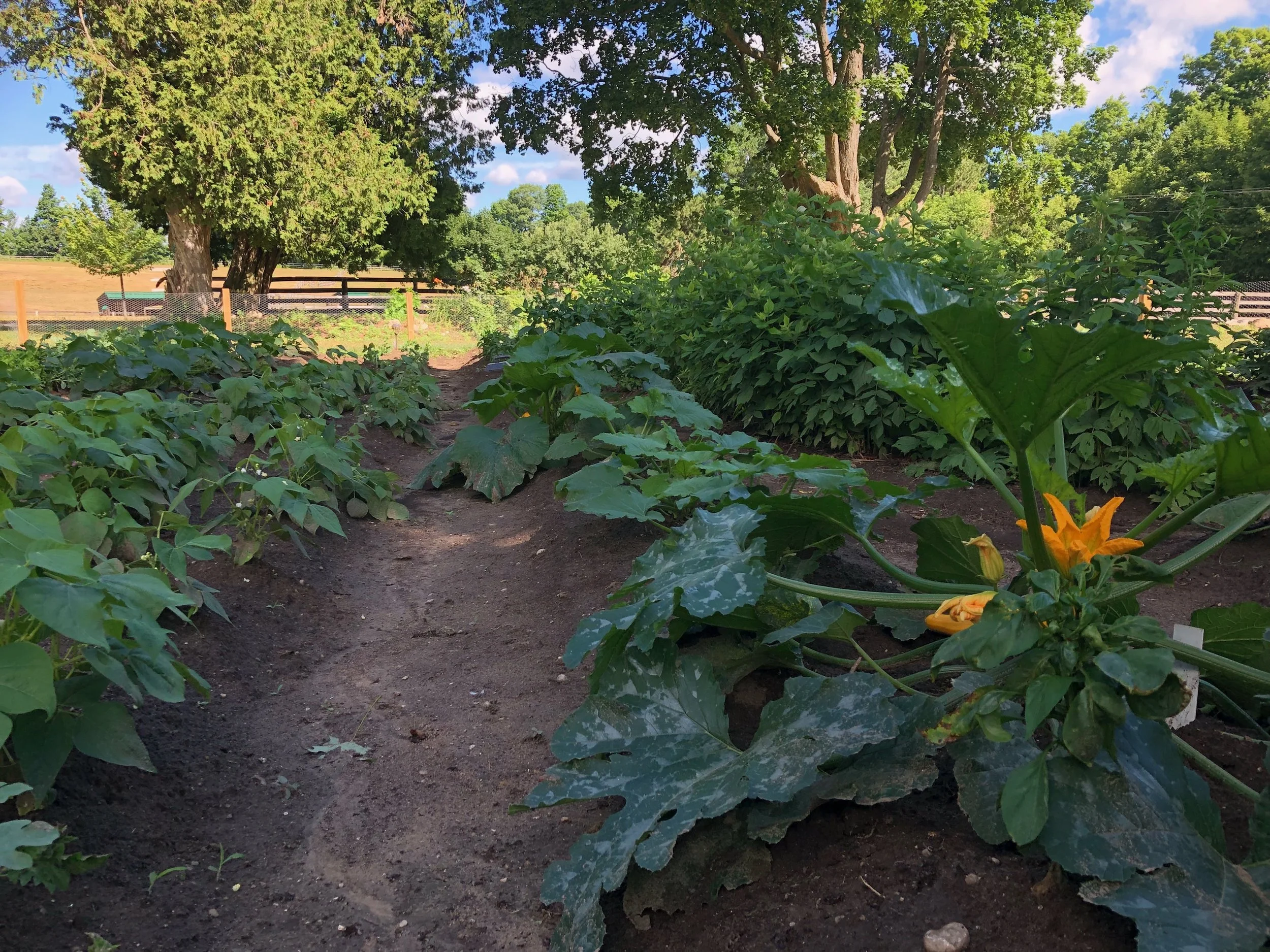 About — Glen Oro Farm