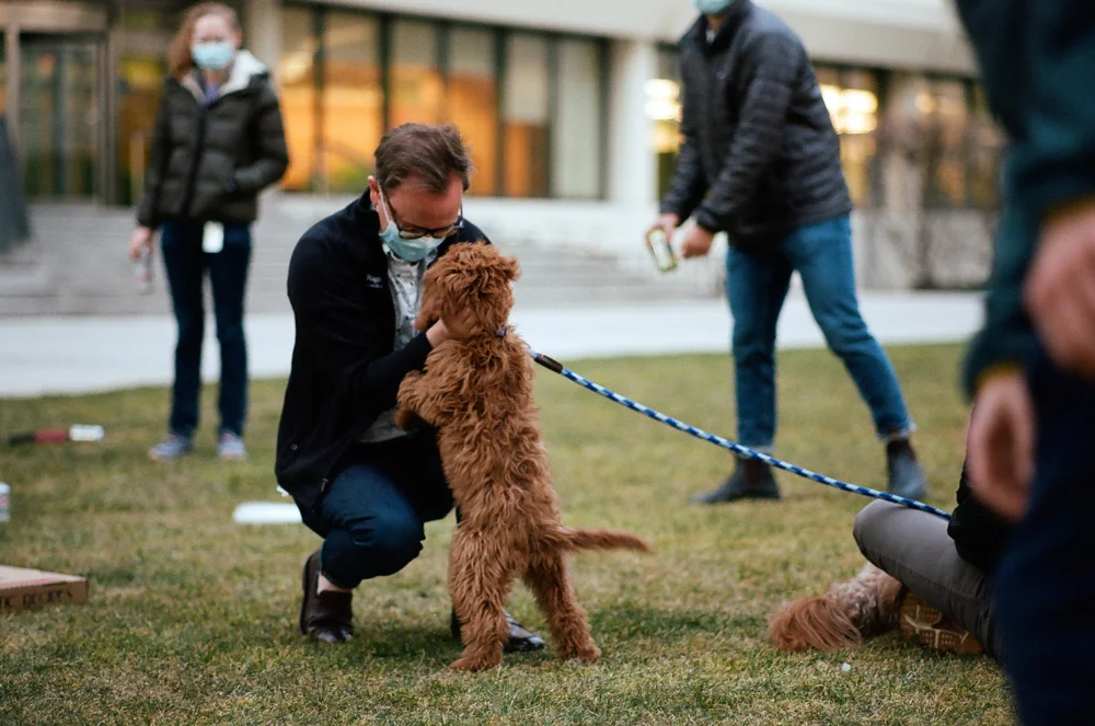 lab news — The Schmidt Laboratory