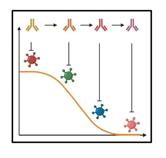 research — The Schmidt Laboratory