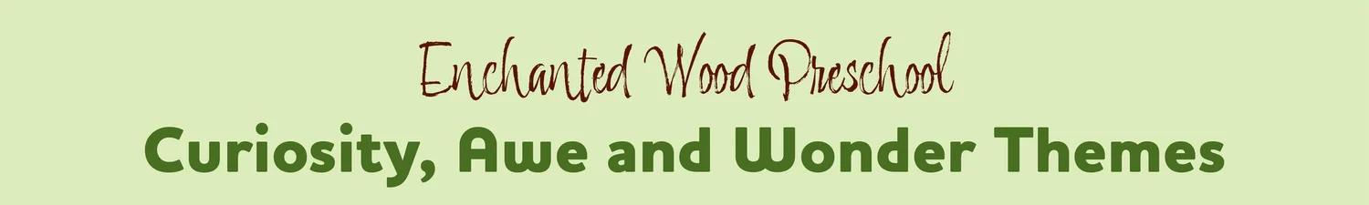 Curiosity, Awe and Wonder Themes — Enchanted Wood Preschool