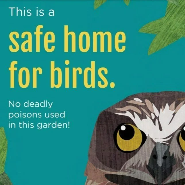 Keeping a Safe Home for Birds — Act for Birds