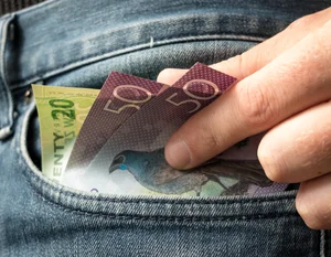 Cashing up annual leave article — Workplace Law