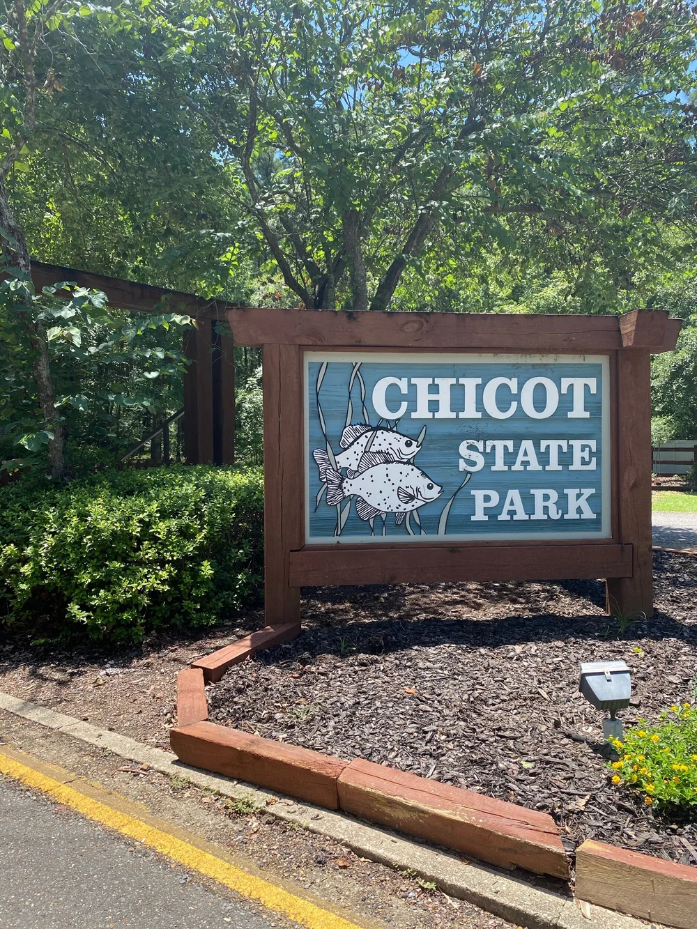 Chicot State Park: The Perfect Louisiana Staycation — The Vintage Fork