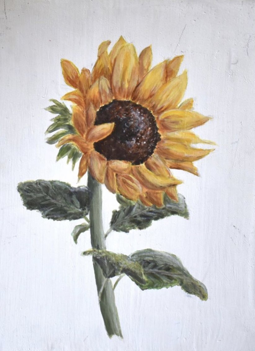 Makayla Larkins — Draper Visual Arts Foundation