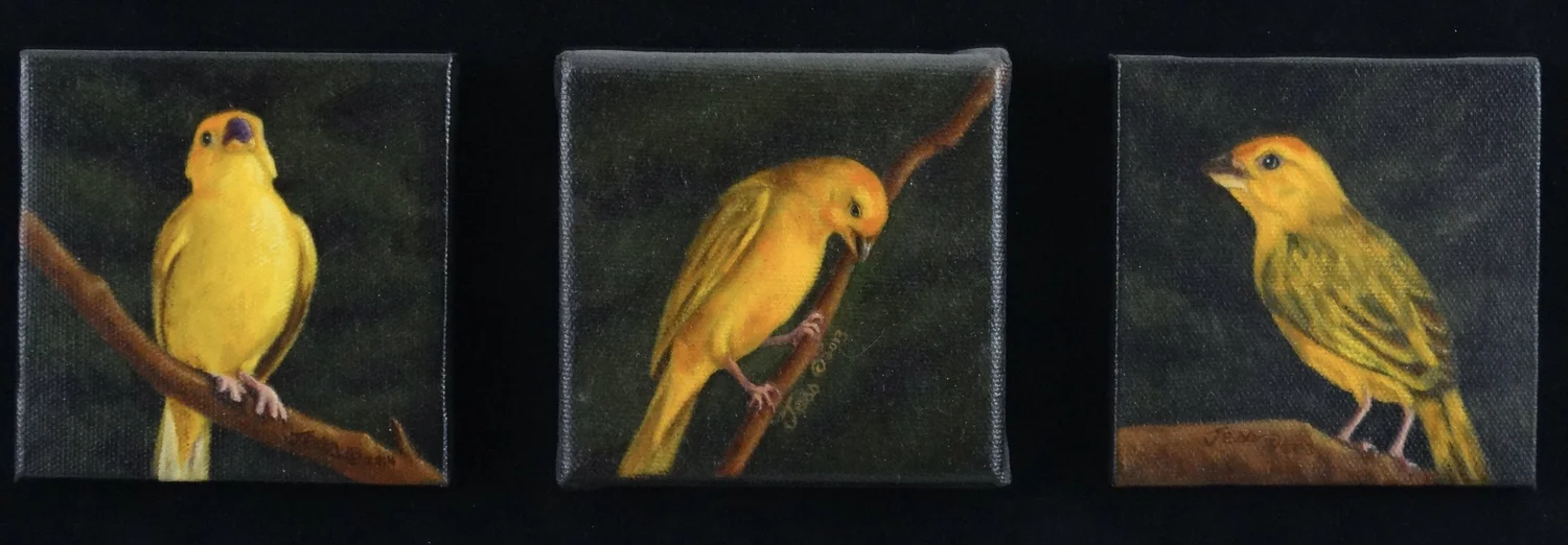 Jess Hansen — Draper Visual Arts Foundation