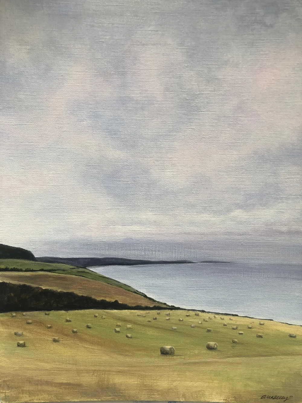 Alex Kelly — Draper Visual Arts Foundation