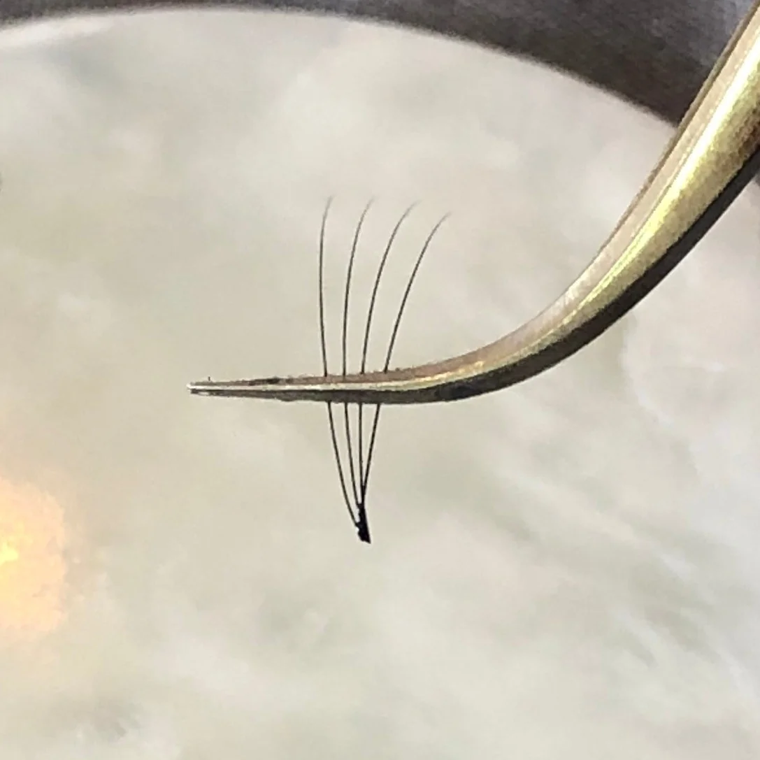Lash Allure - eyelash extensions