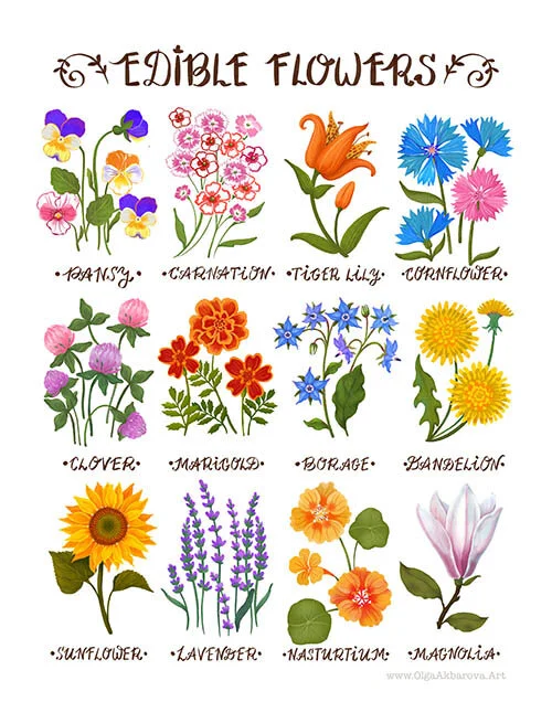 Edible Flowers Chart