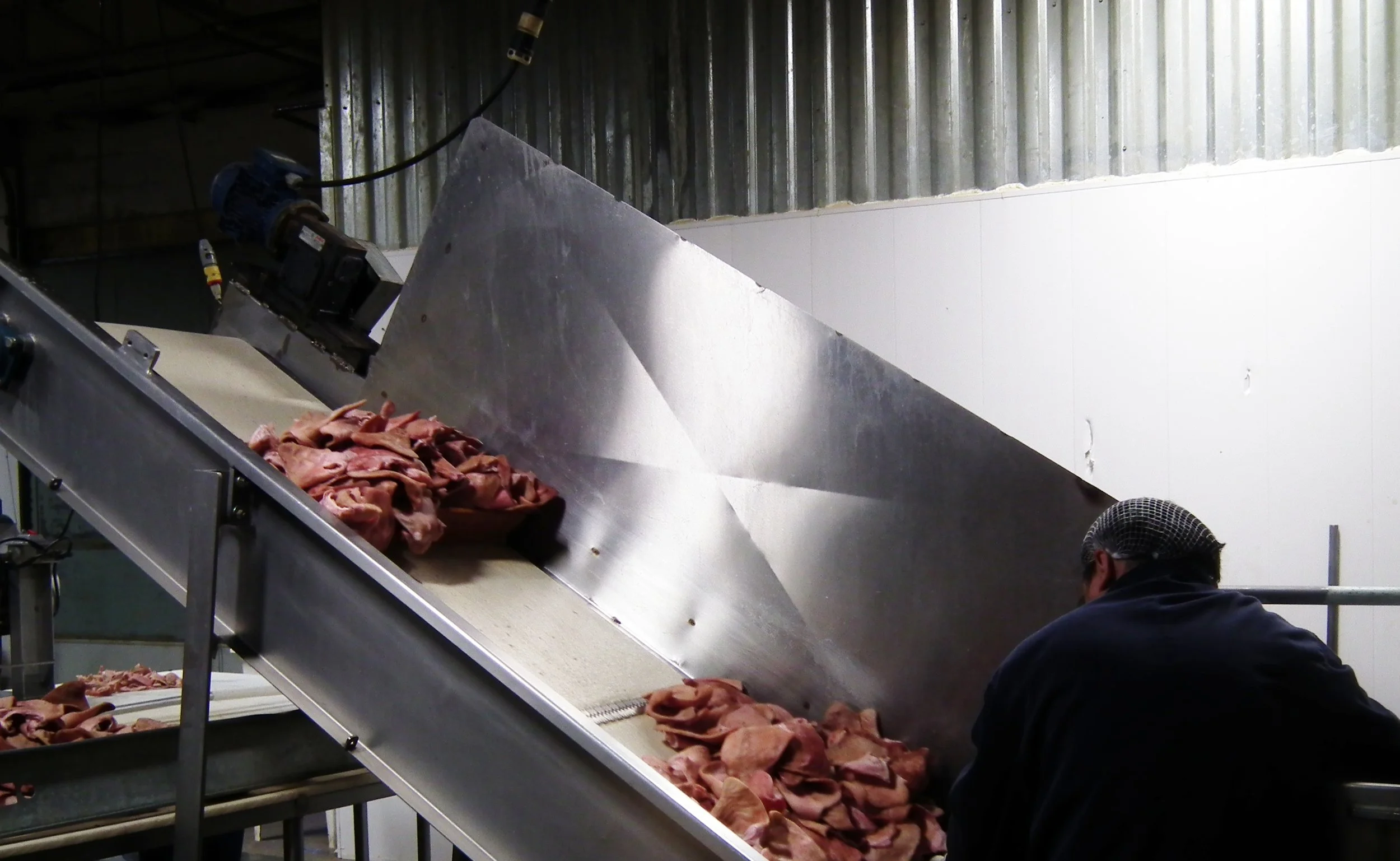 Eurocan | Dog Treat Manufacturer & Distributor | Private Label Treats ...