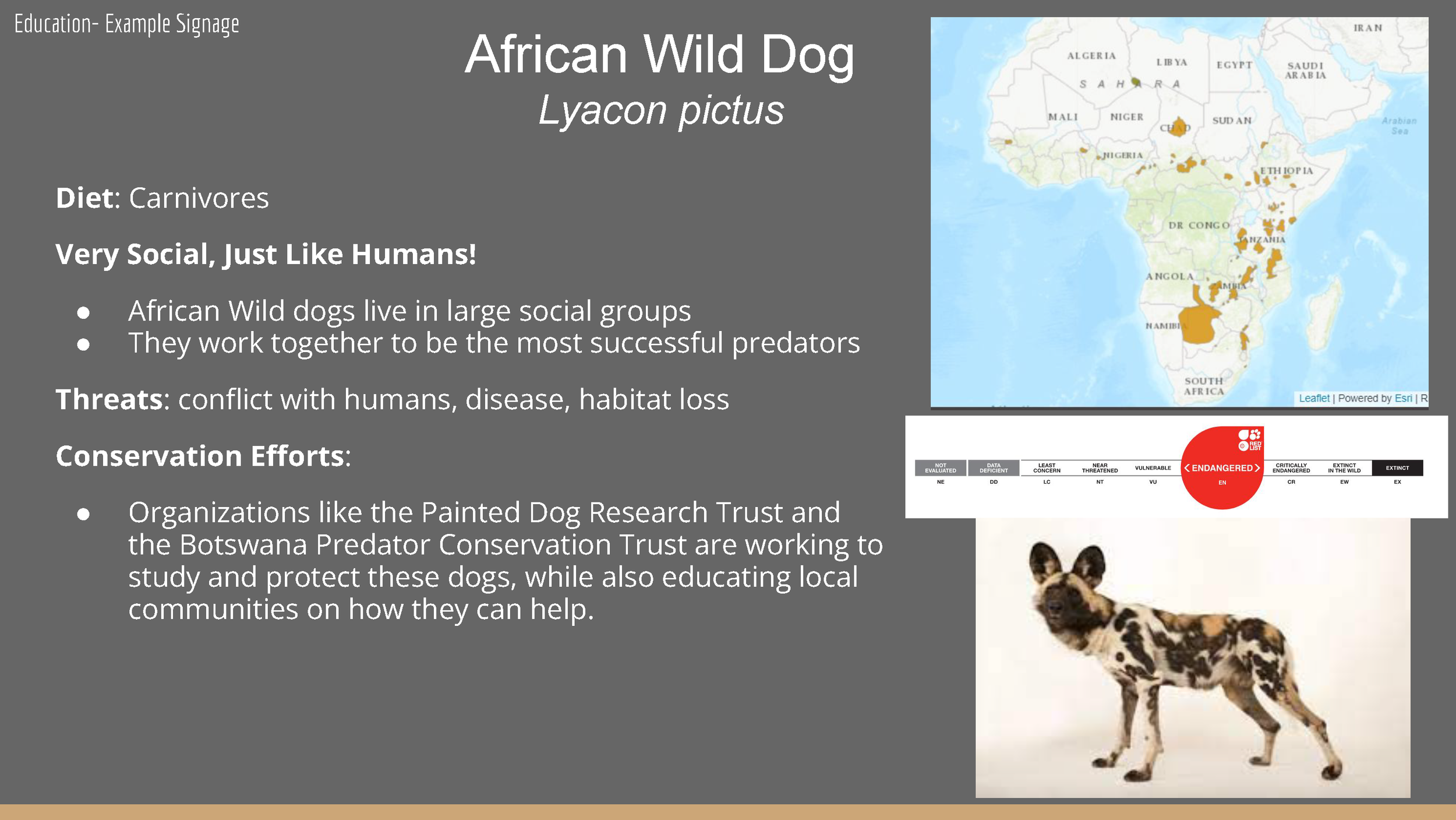 African Wild Dog Habitat Map
