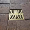 Paver Drain — Sinnov, Inc.