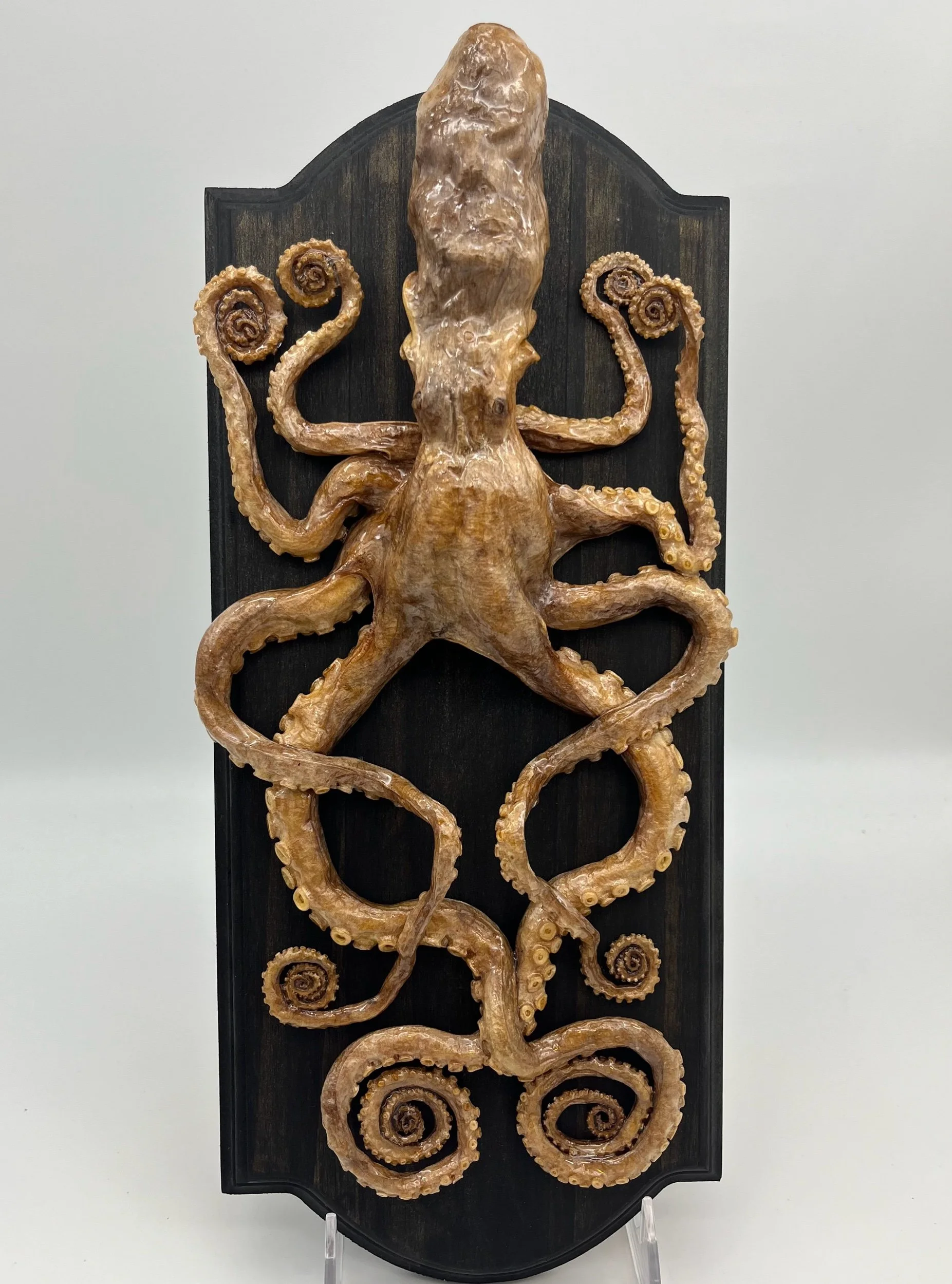 Shop Original art — ScientificWoman