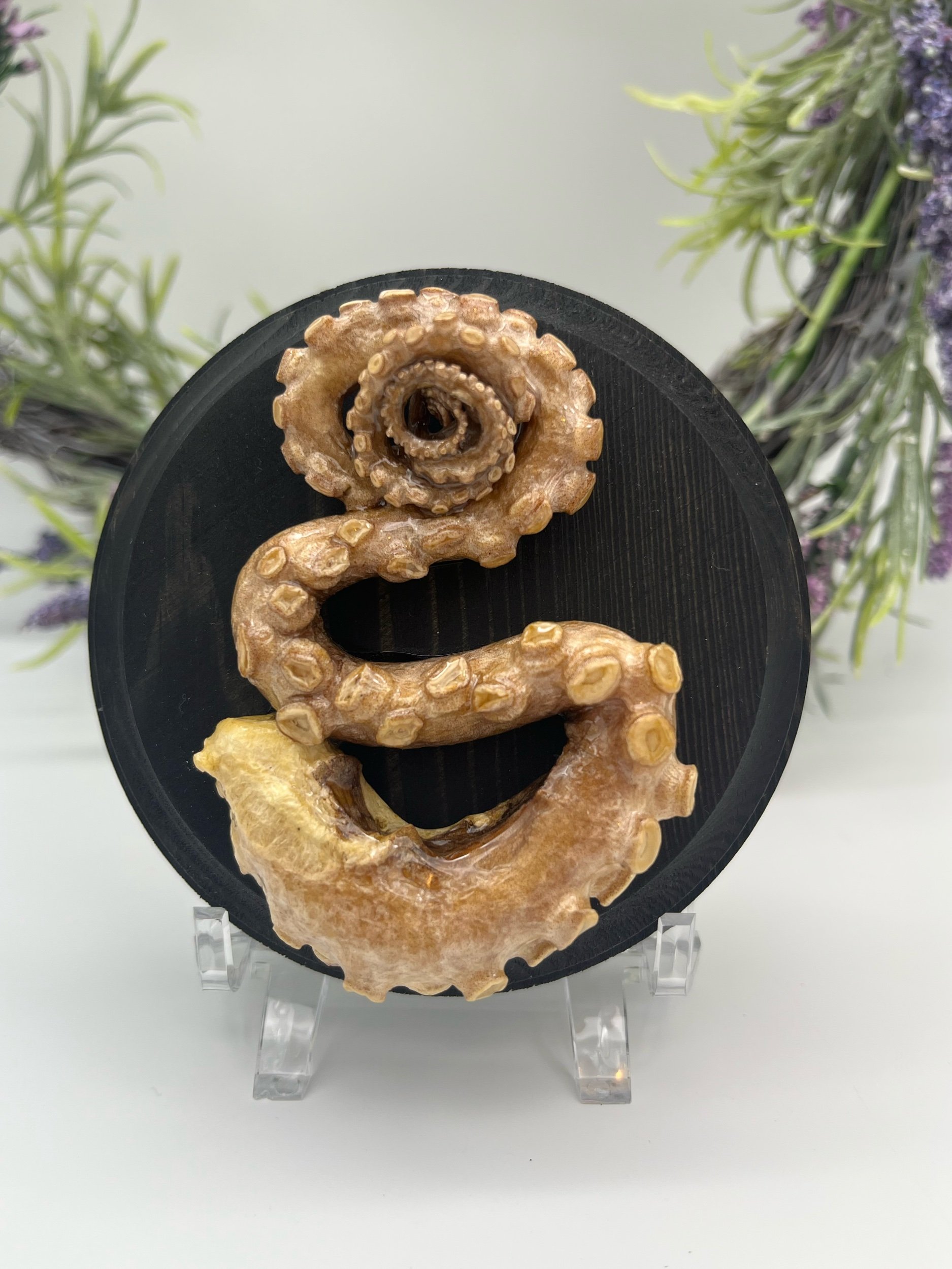 Shop Original art — ScientificWoman