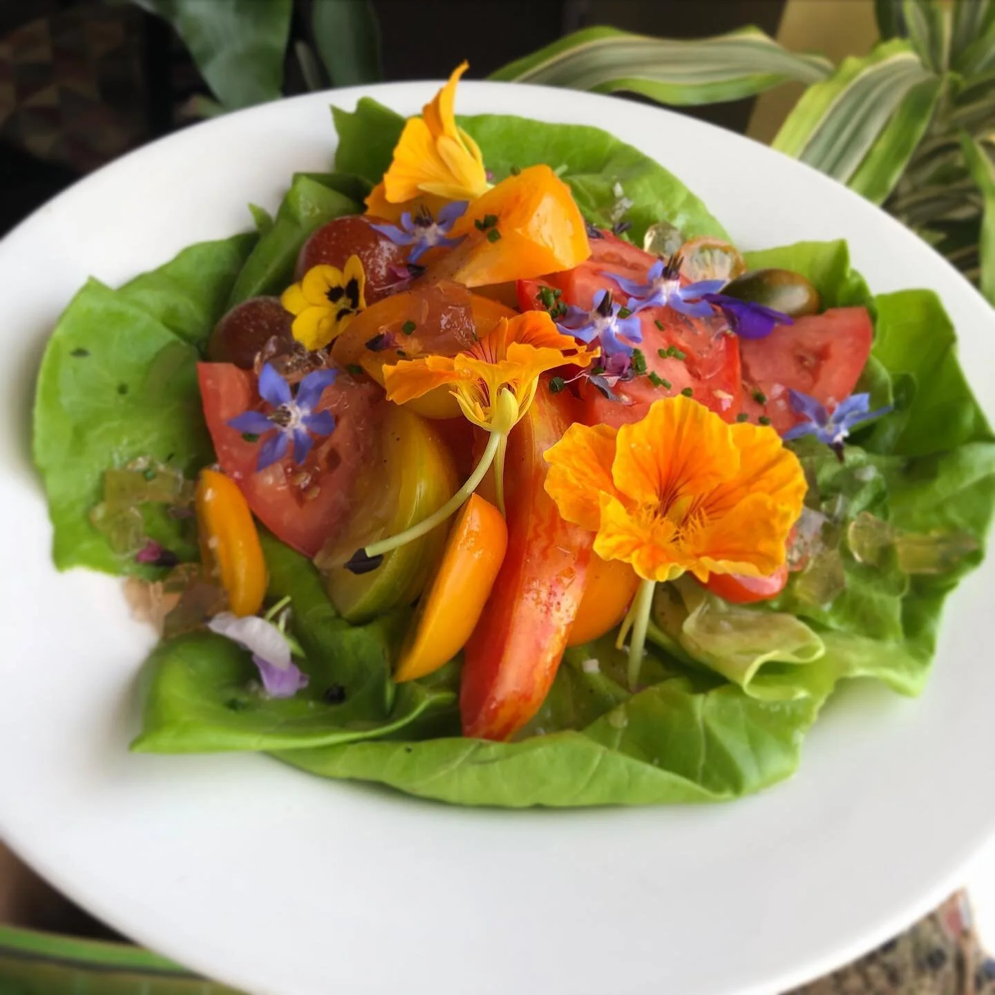 About — Slate Bleu Restaurant
