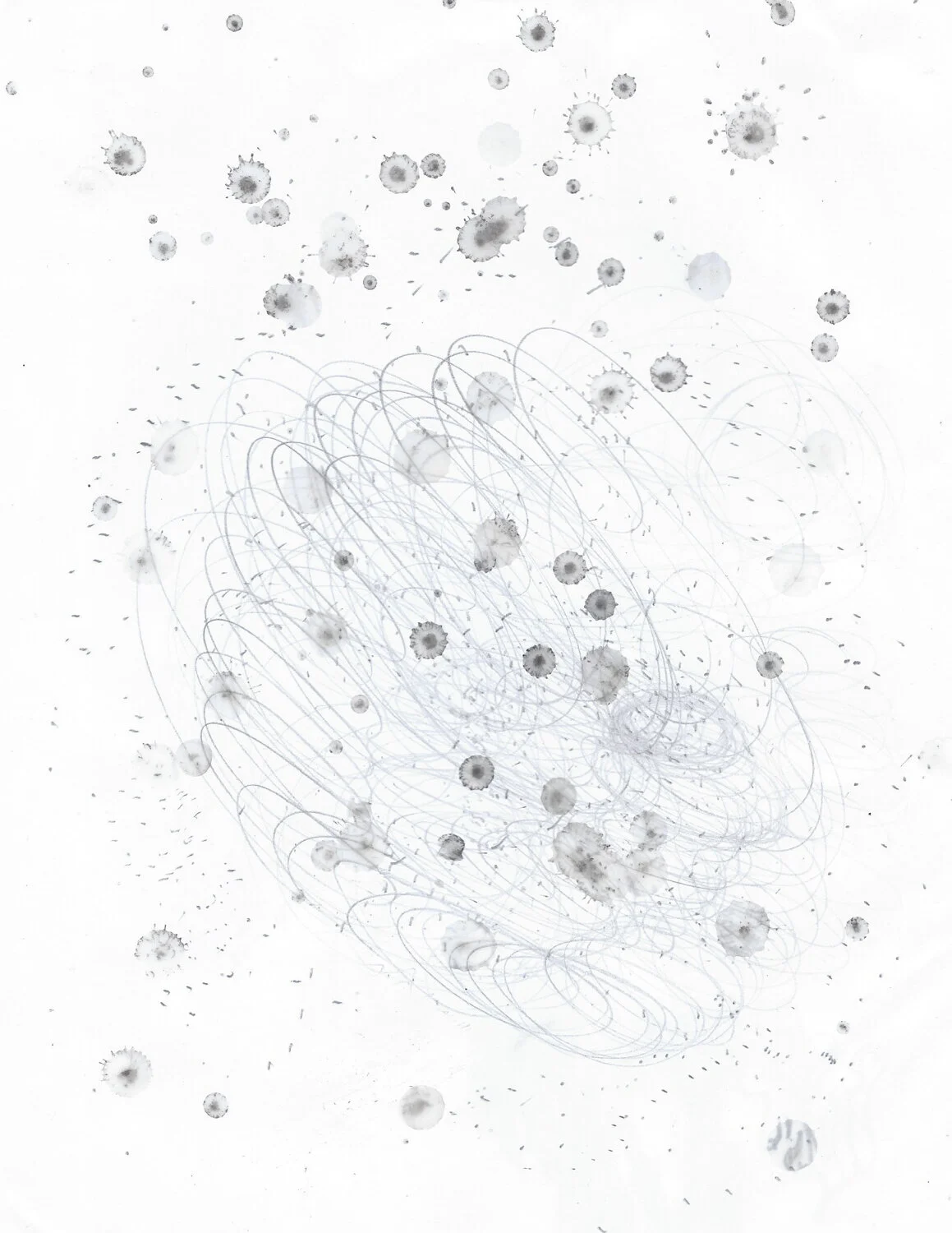 Collage — Omer Kaplan