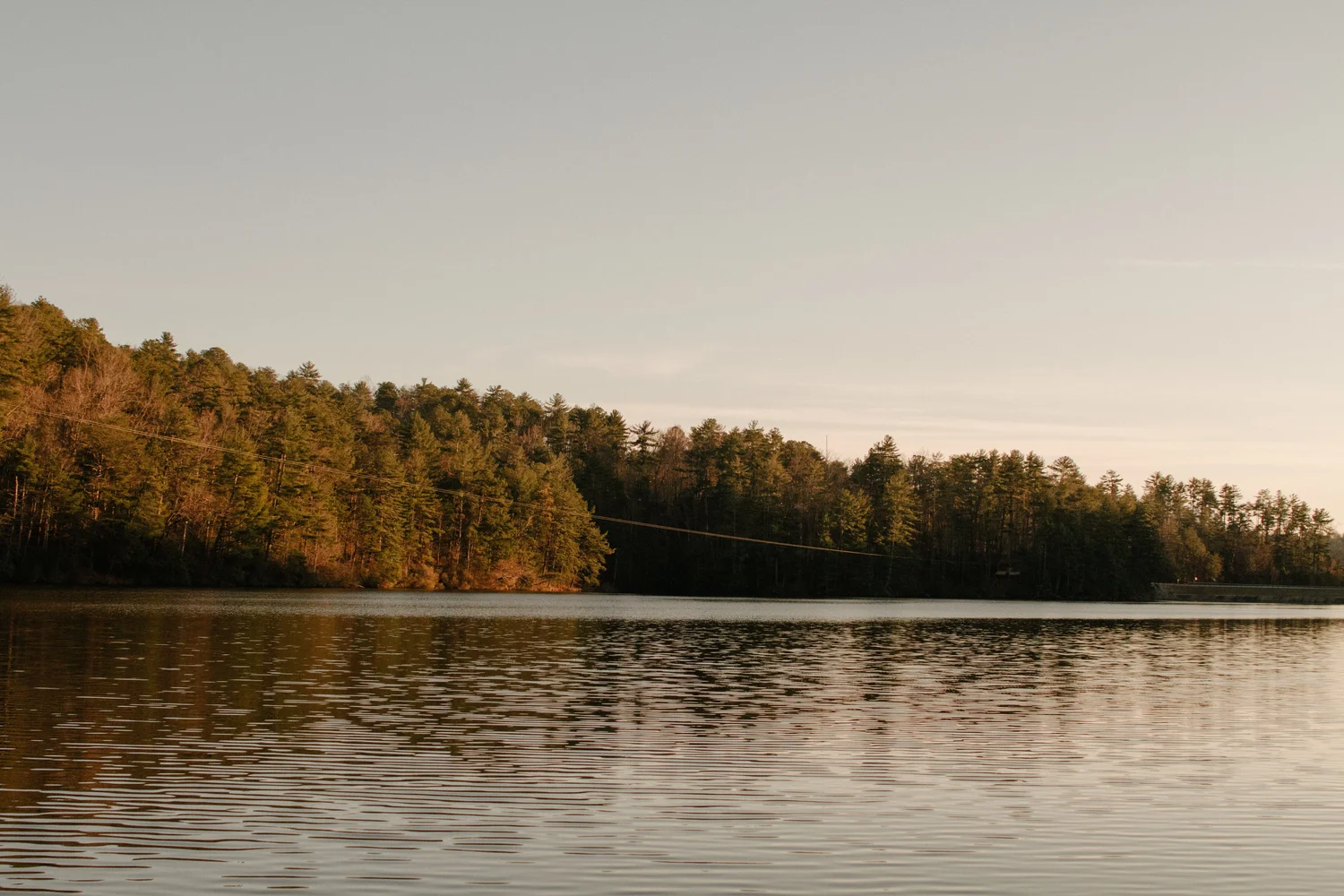 Last Week of 2017 in Dahlonega, GA — Chez Núñez