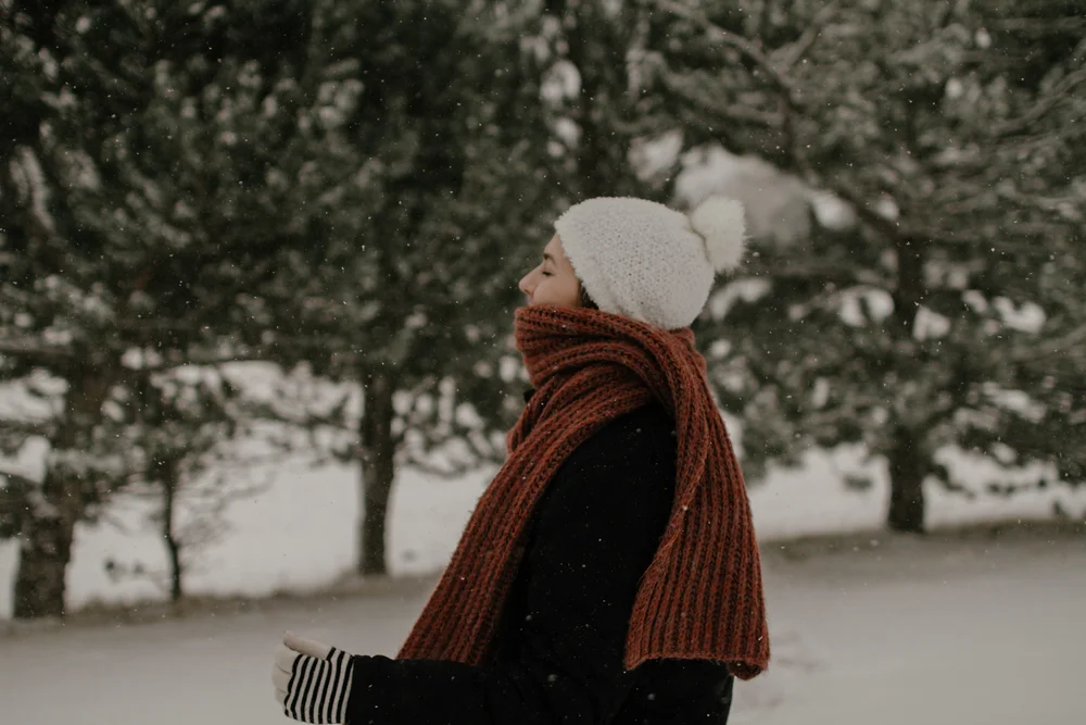 January in Colorado — Chez Núñez