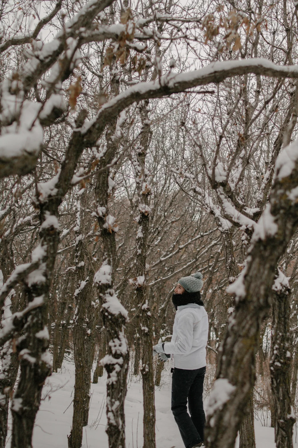 January in Colorado — Chez Núñez