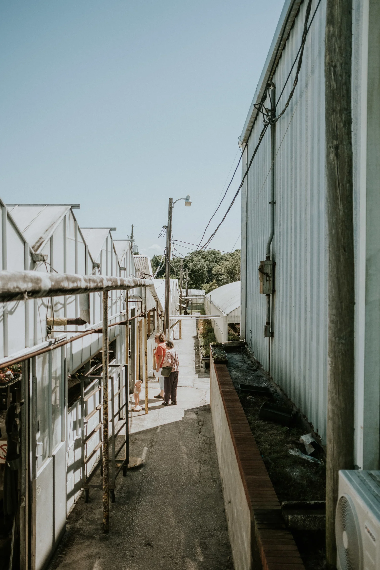 Turning 23 at Florida Cactus Inc. — Chez Núñez