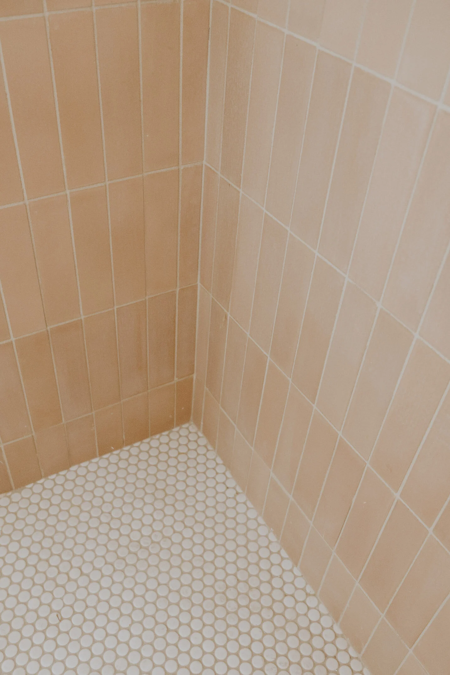 Casas de Núñez: Bathroom Remodel with Zia Tile — Chez Núñez