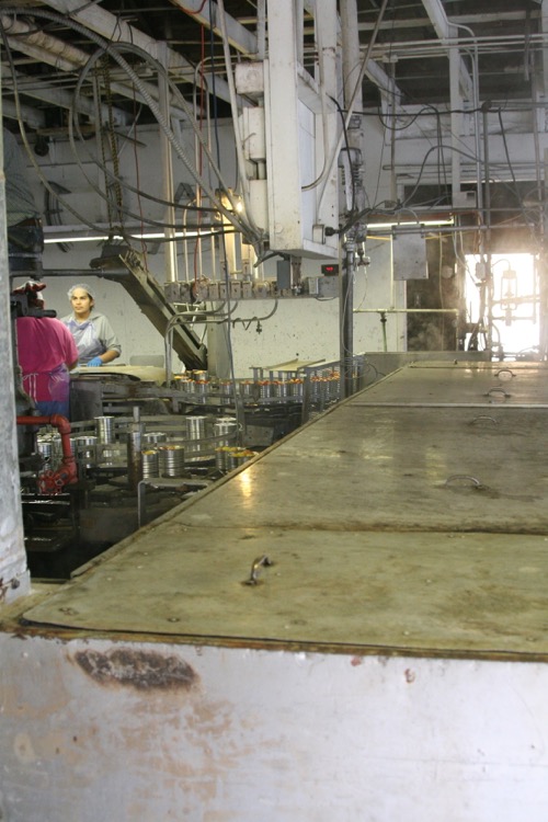 the canning process — MUIRHEAD CANNING COMPANY