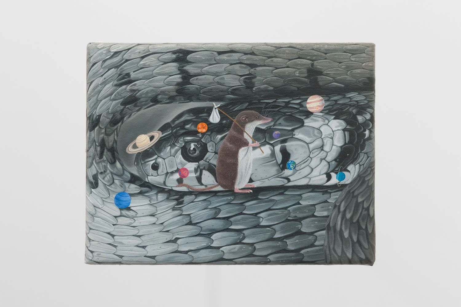 Tristan Pigott — ALICE BLACK