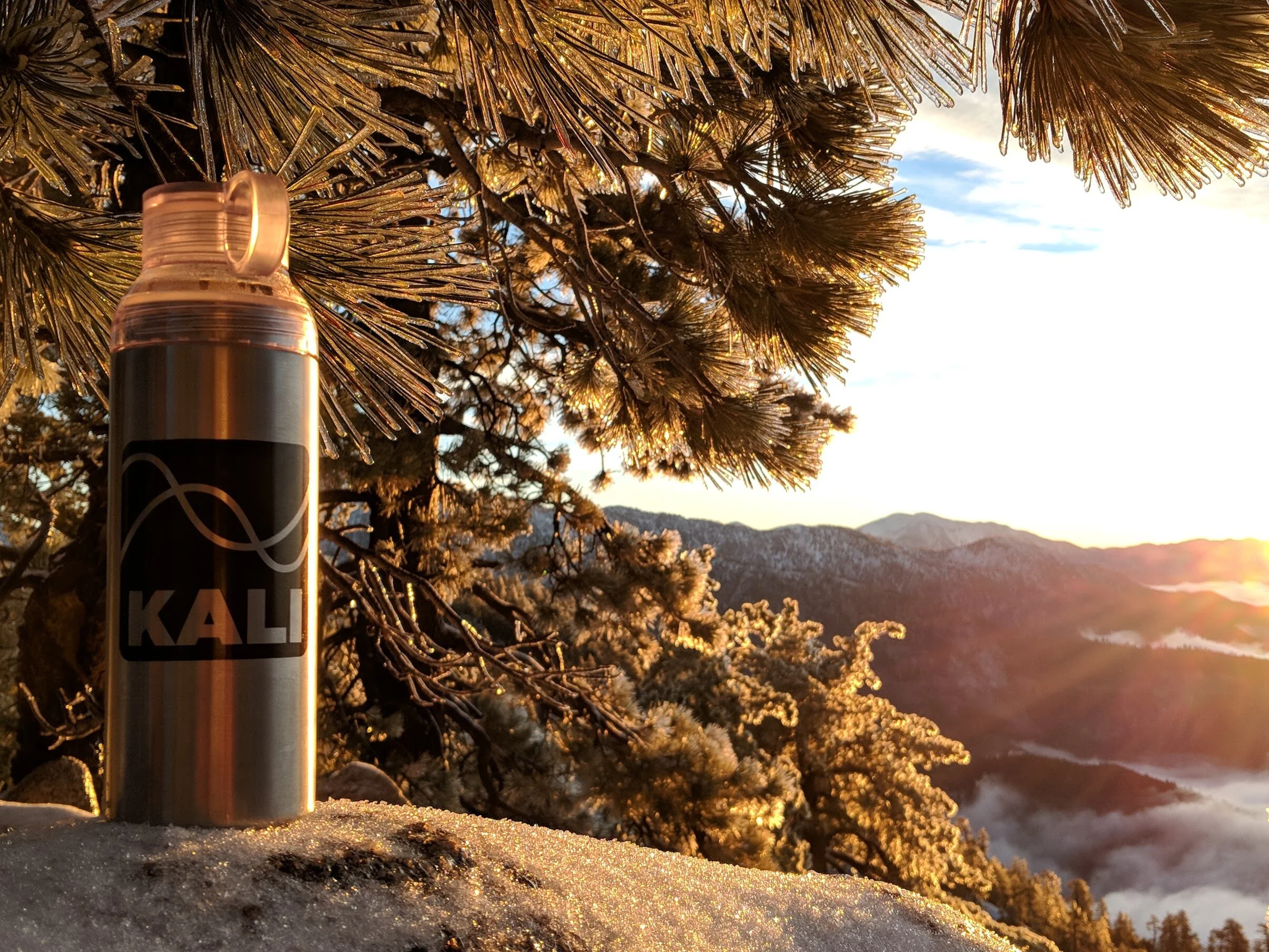 Kali Audio — Merchandise