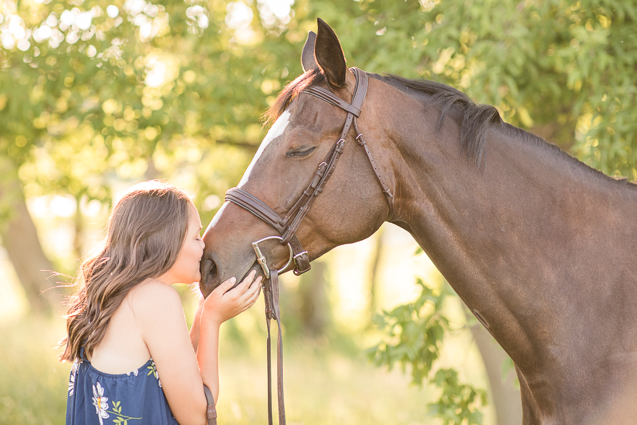 Best Horse Photography