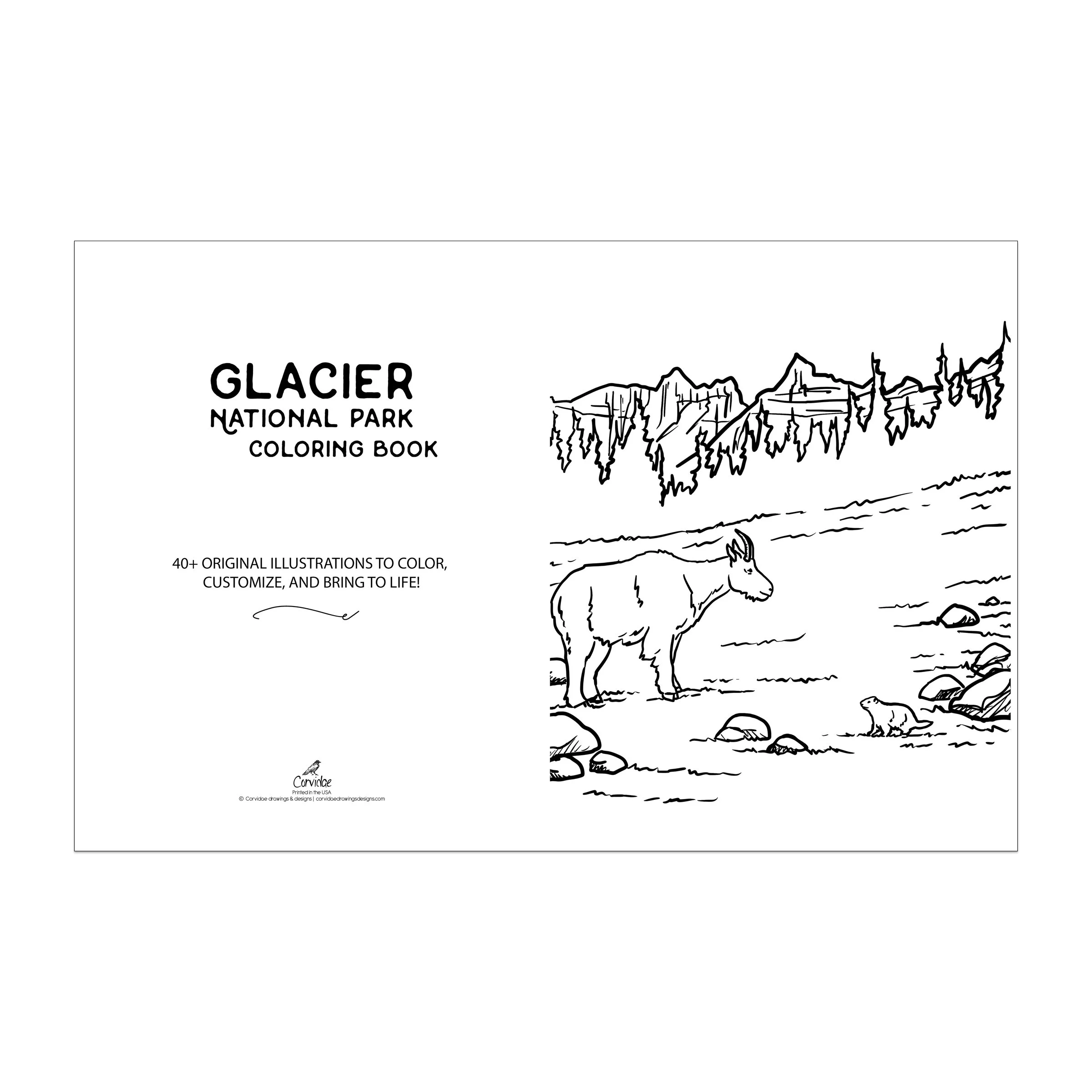 Glacier National Park Coloring Book — CORVIDAE drawings & designs